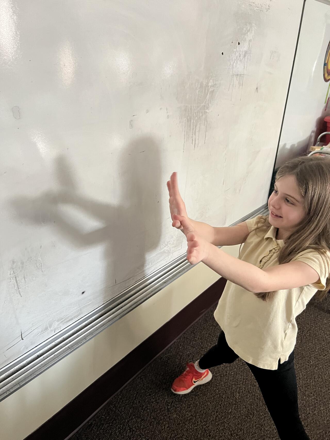 The Science of Light and Shadows | Park Elementary School