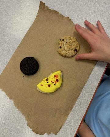 Kindergarten Favorite Cookie Election | Park Elementary School