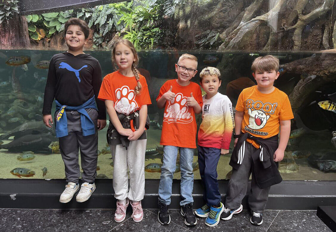 Check Out D140's Weekly Wrap-Up! - 03/07/2025 | Millennium Elementary ...