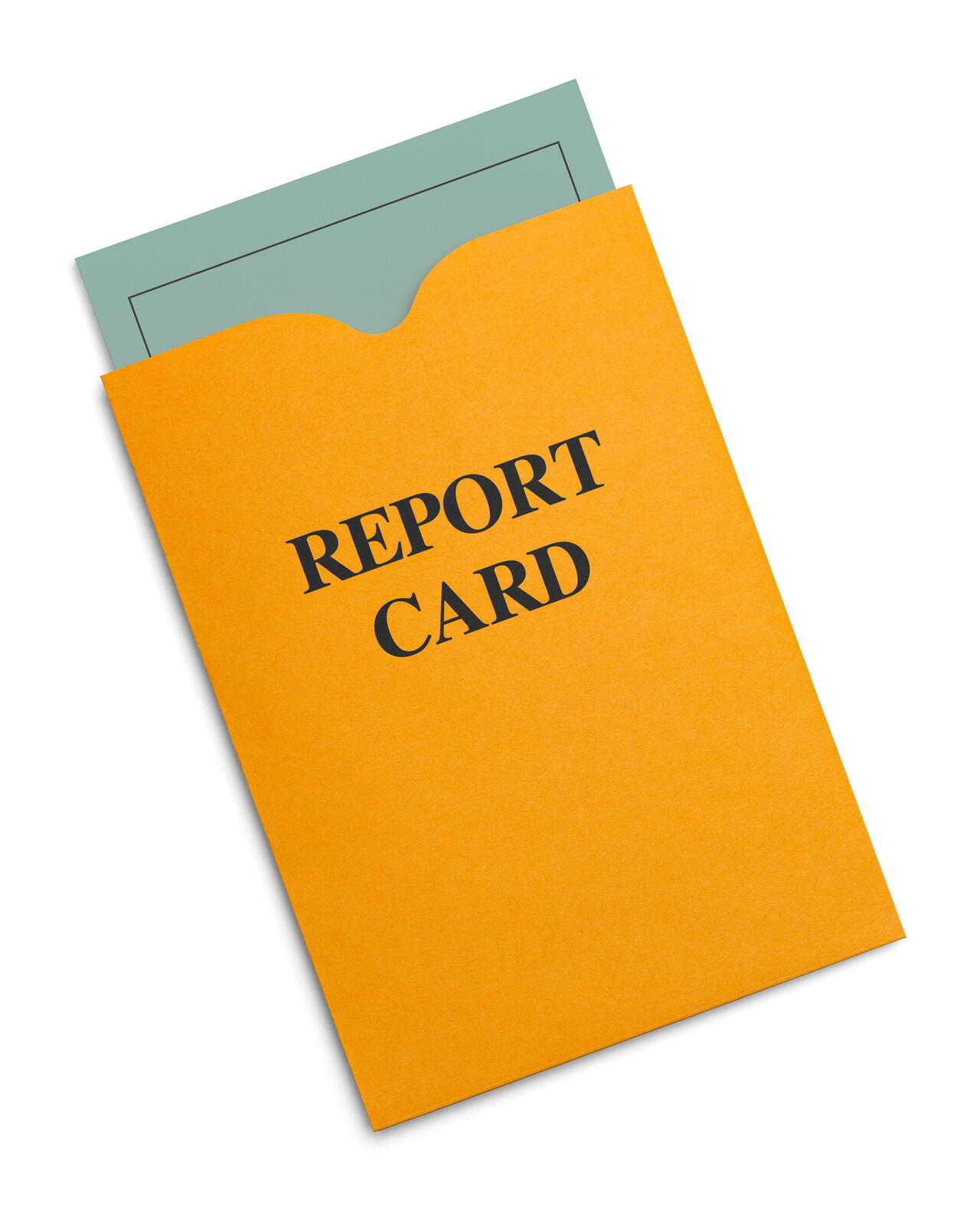 Access Report Cards | About