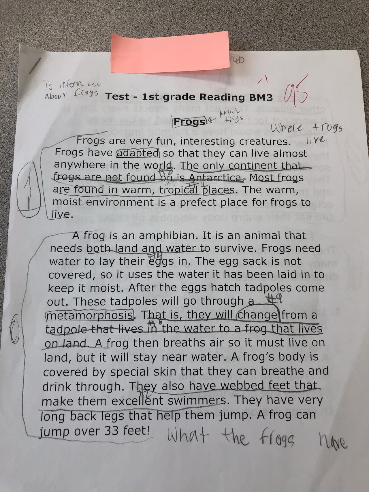 3rd Grade Reading Strategies