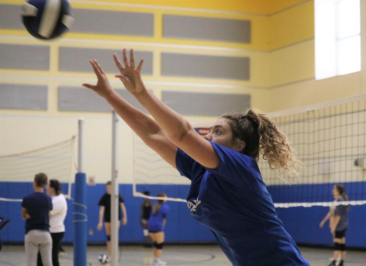 Volleyball intends to build on last year's wins | Athletics