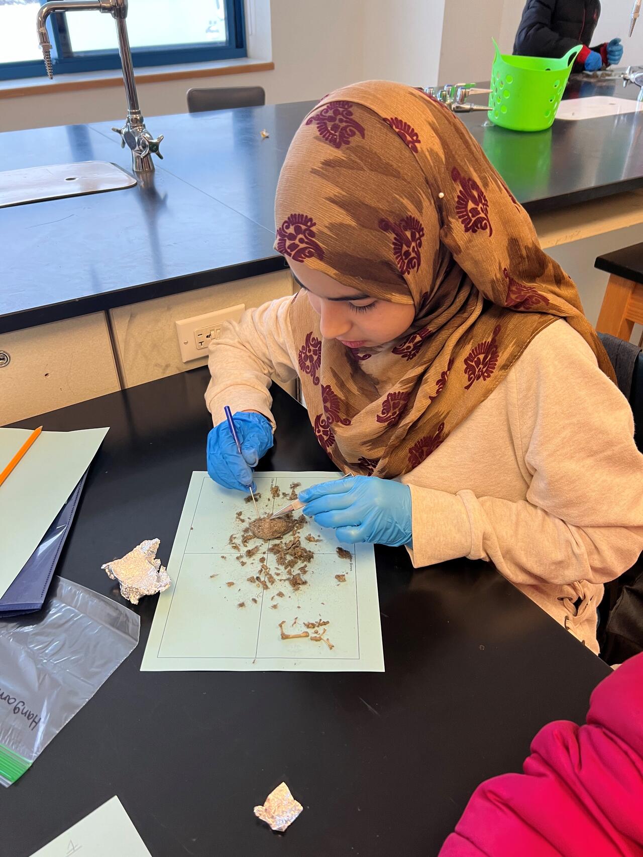 The (scientific) proof is in the (owl) poop! | Stephen and Harriet ...