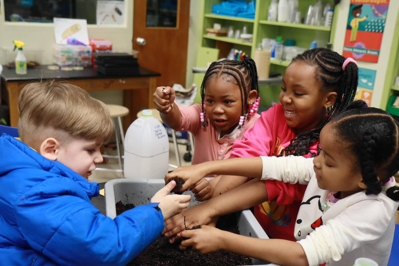 Greenhouse gardeners prep for spring | City School District of Albany