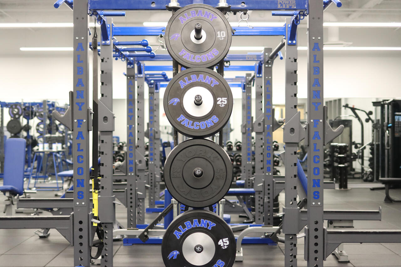 Falcon fitness gets a new look | City School District of Albany