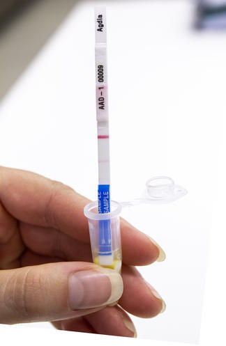 Agdia Commercializes New ImmunoStrip® for Detection of AAD-1 Protein in ...