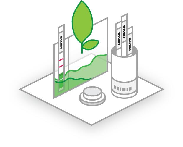 Agdia Commercializes ImmunoStrip® for Detection of Tomato aspermy virus ...