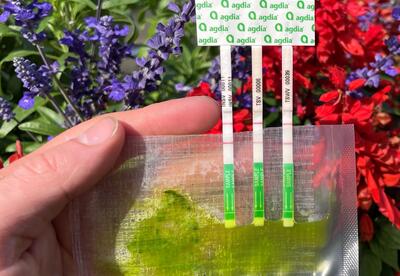 Agdia Testing Services | Testing Services