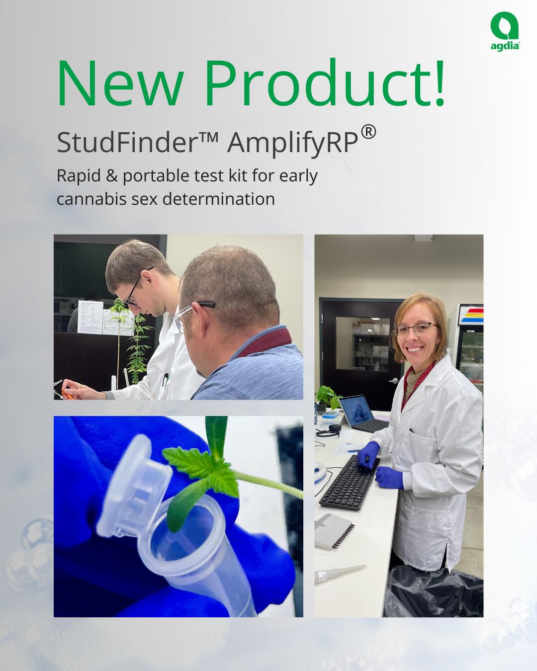 Agdia Releases StudFinder™, a Molecular Test for Sex Determination in ...