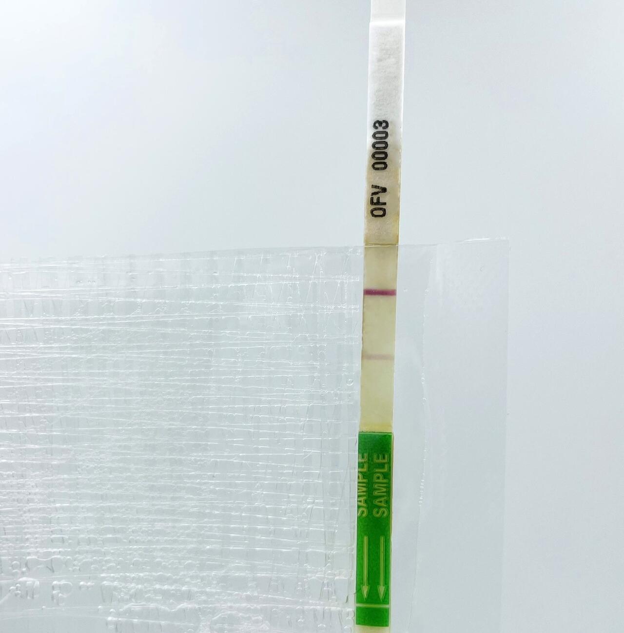 Agdia Launches ImmunoStrip® to Detect Orchid Fleck Virus | Company