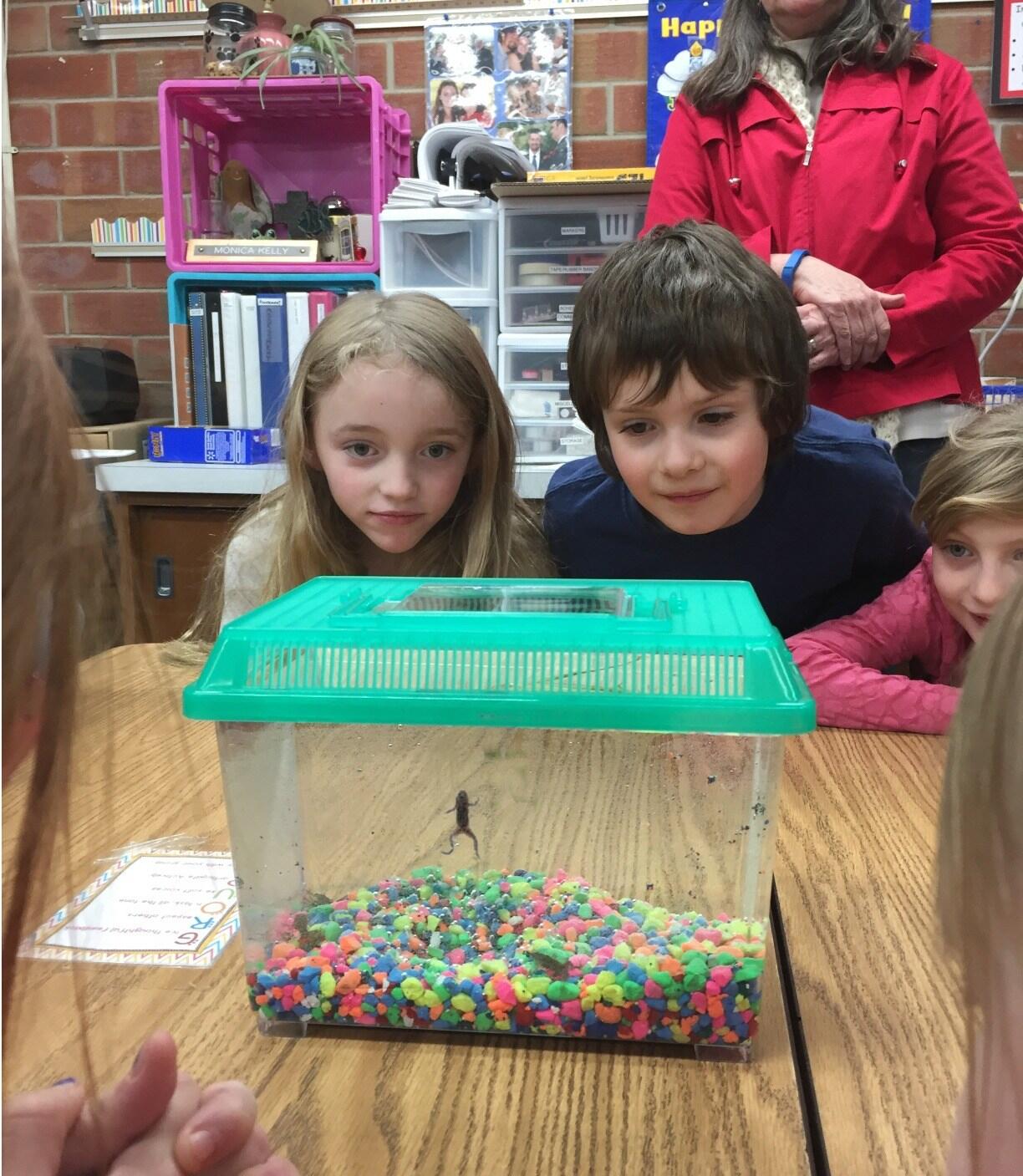 First Grade Science Kids | Canon City Schools