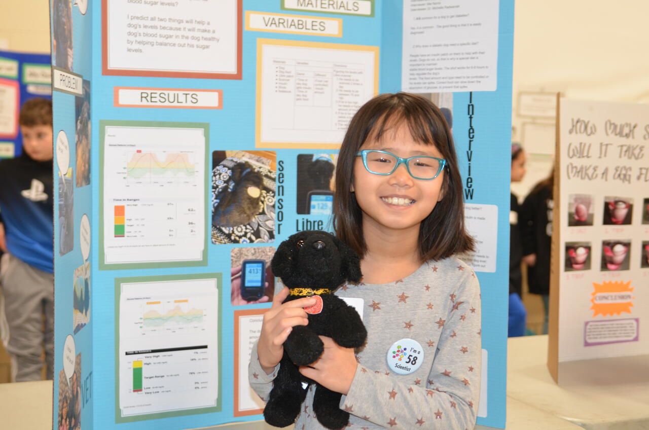 42nd Annual District 53 Science Fair | Community Engagement