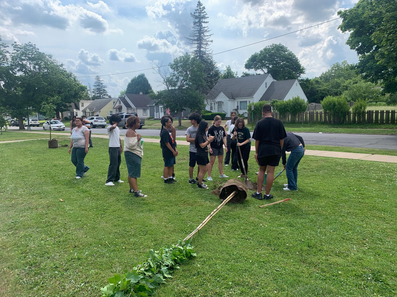 Proctor Environmental Club Plants Trees | Utica City School District