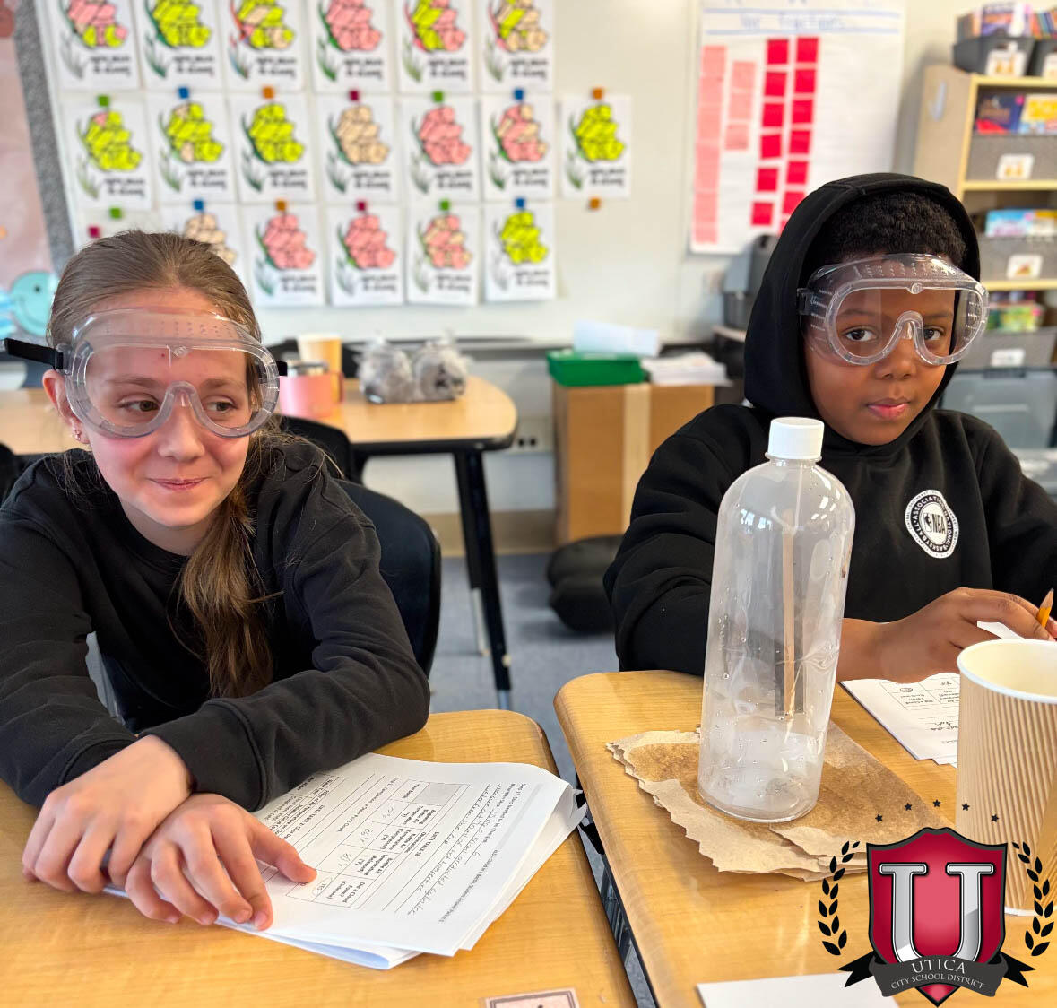 Cloud in the Bottle 2025 | Albany Elementary