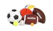 Fall Sports Reminders | Grass Lake Community Schools