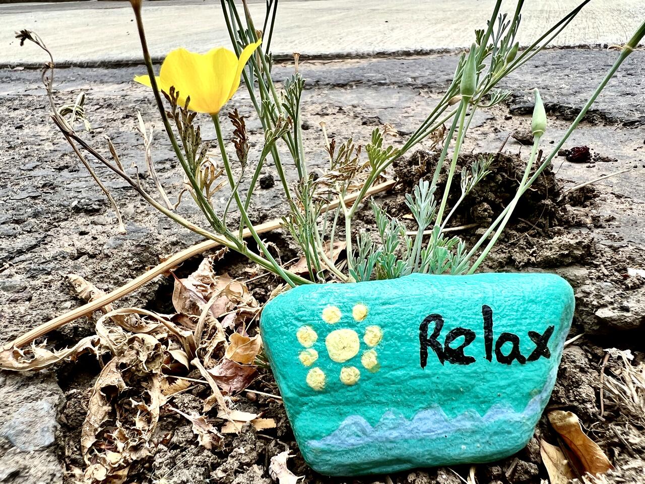 Paint a Rock for Mental Health Awareness Month | Mendocino County ...