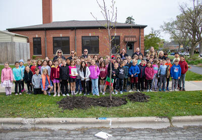 Welcome to Carpenter Elementary School in Park Ridge-Niles District 64 ...