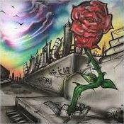 "The Rose that Grew from Concrete" | Student Corner