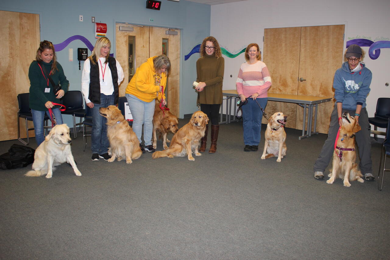 Bright and Beautiful Therapy Dogs | Student Corner