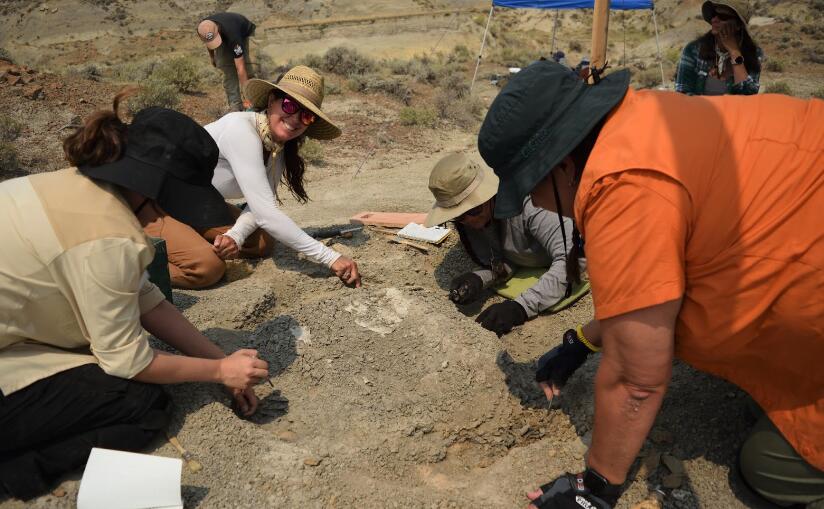 Pioneer Middle School Science Teacher Integrates Paleontology Learning ...