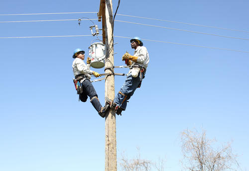 Gallery | Lineman Training