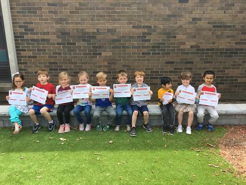 Welcome to Oakwood School | Oakwood School